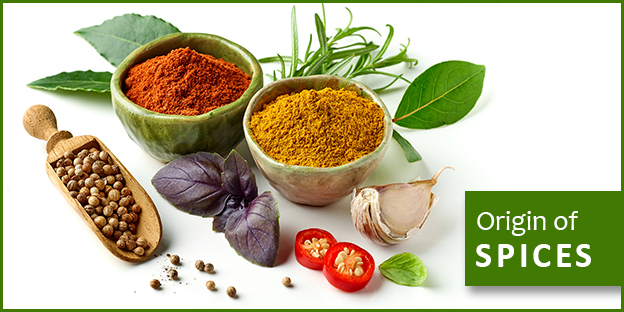 The Fascinating Origins of Your Favorite Spices