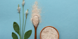 Organic Psyllium Seeds - Know the Process of Growing and Harvesting
